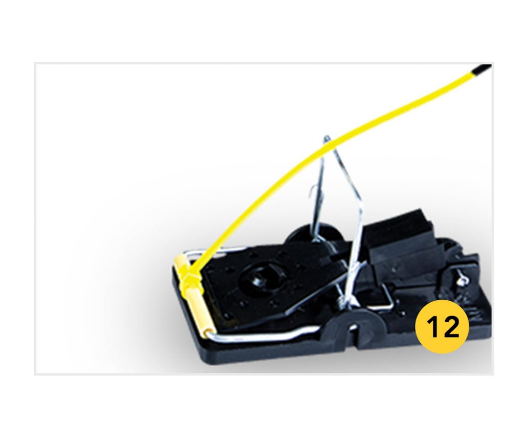 EZ Snap® Mouse - Trap and Monitor Mice